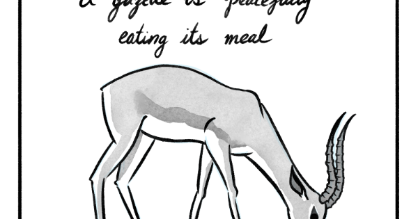 Read Curious Hoodie :: Nature Docos | Tapas Community