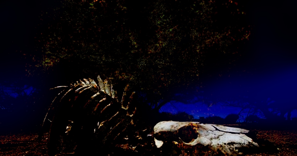 Read Mongrel :: Retornos | Tapas Comics