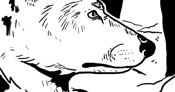 Read Ravenwolfe :: Chapter One // Page 5 | Tapas Community