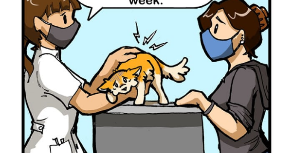 Read Dogs Love Bacon :: Miss Taz's Sensibilities | Tapas Community