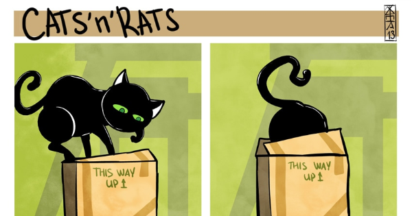 Read Cats'n'Rats :: Cat.rar | Tapas Community