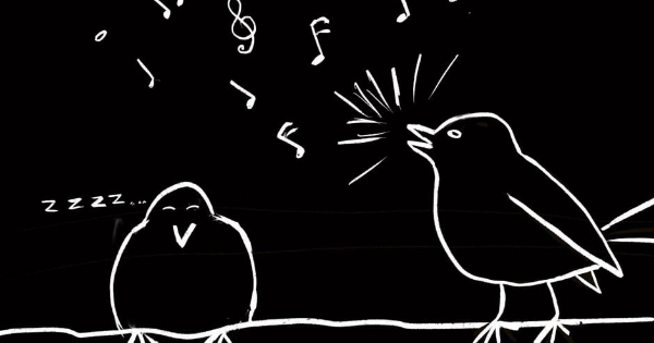 Read Critter Twitter :: The night singer | Tapas Community