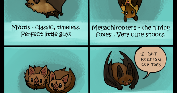 Read KB Comics :: Comictober 29: Bat | Tapas Community