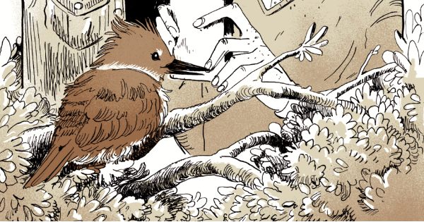 Read Kingfisher :: 3rd Kingfisher Anniversary Illustration | Tapas ...