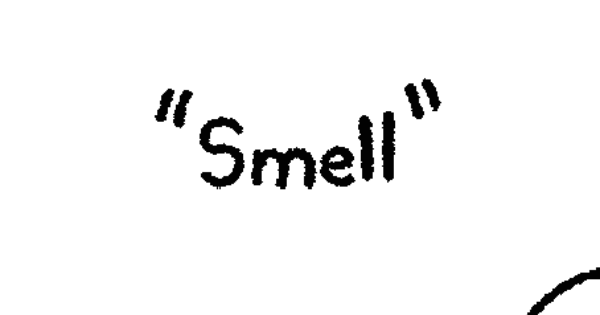 Read Random Balloons in the Sky :: Smell | Tapas Community