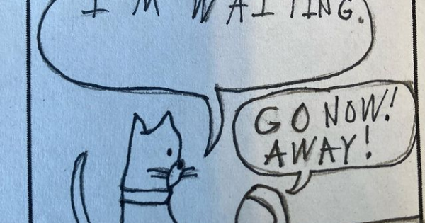 Read Pets Allowed :: Go Now! Away! | Tapas Community