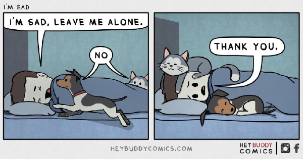 Read Hey Buddy Comics :: I'm sad | Tapas Community