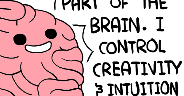 Read Shen Comix :: Brain Anatomy Guide | Tapas Community