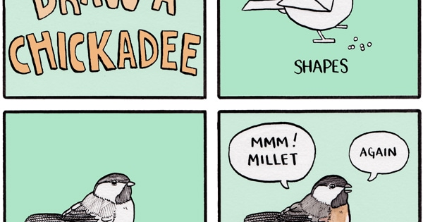 Read FalseKnees :: How to draw a chickadee | Tapas Community