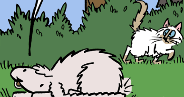Read Smith :: If I ruled the world | Tapas Community