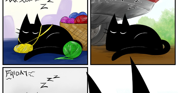 Read The Adventures of DK :: Cat Week | Tapas Community