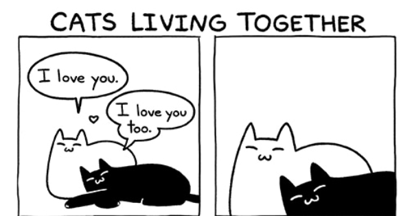 Read Sarah's Scribbles :: Cats Living Together | Tapas Community