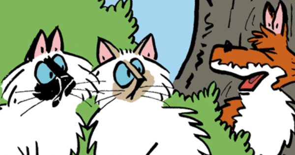 Read Smith :: The shortest night | Tapas Community