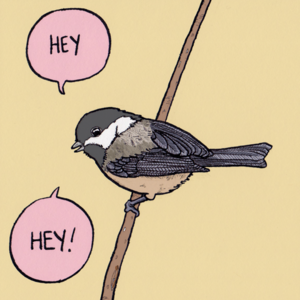 Read FalseKnees :: Sam's a specist | Tapas Community