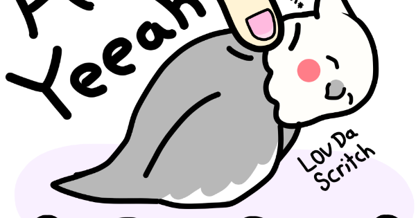 Read ItsABirbThing :: Scritching | Tapas Community