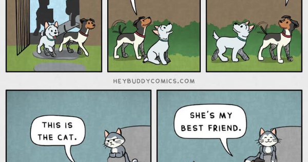 Read Hey Buddy Comics :: 98 | Tapas Community